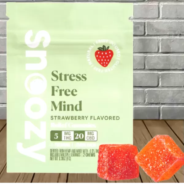 Snoozy Stress Free Mind Delta 9 Gummies 10mg – TenVape