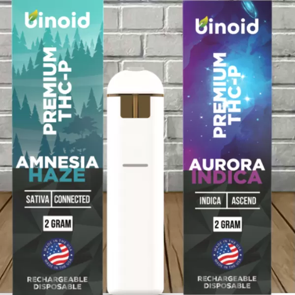 Binoid Premium THCP Disposable Vape 2g – TenVape