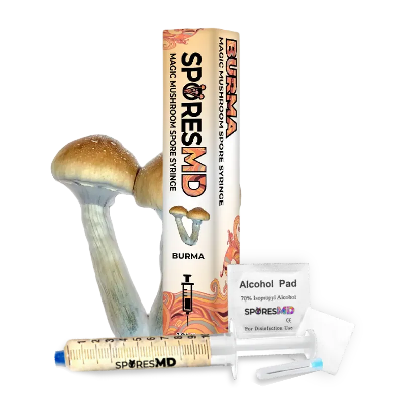 Burma Mushroom Liquid Culture (10ml) – TenVape