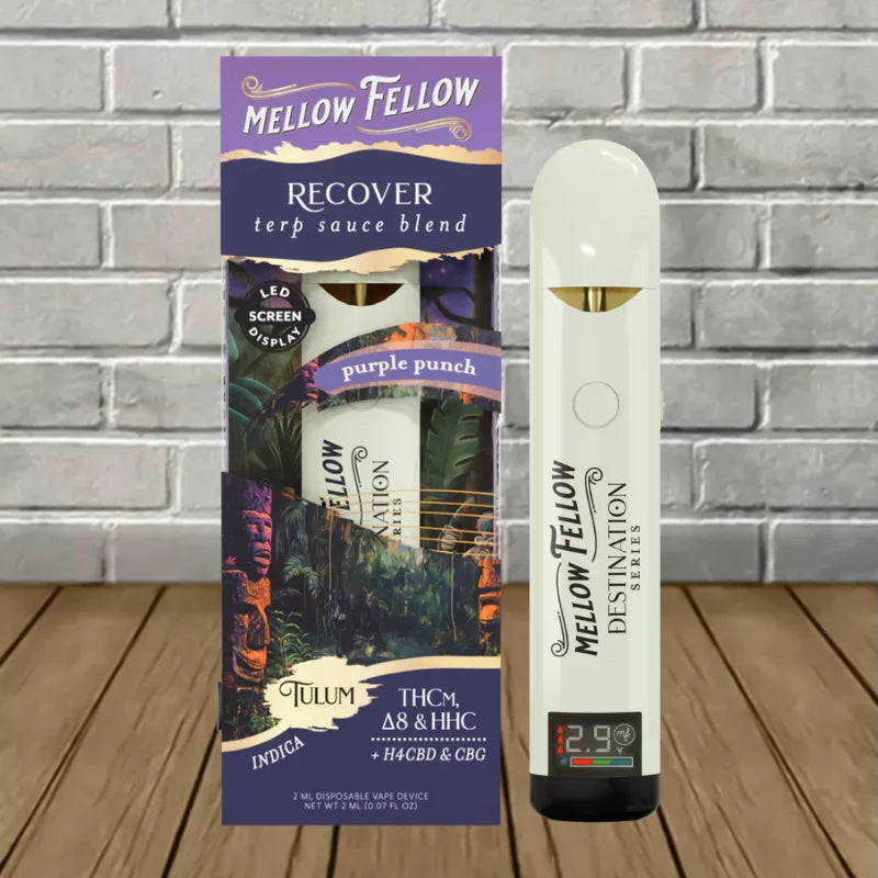 Mellow Fellow Terp Sauce Destination Blend Disposable 2g – TenVape