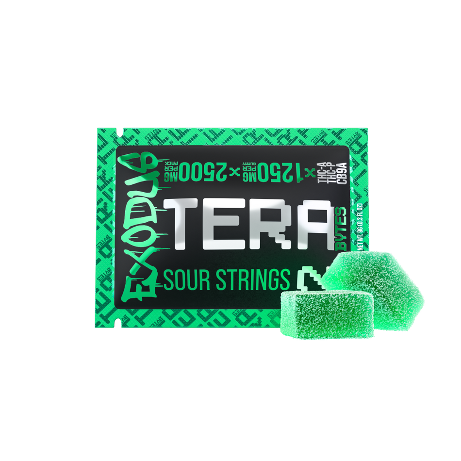 Flying Horse 2 in 1 Flavors Disposable 11G – TenVape